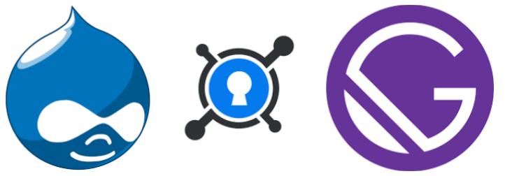Using CDN to Accelerate Drupal API Sourcing for GatsbyJS | Vacilando.org